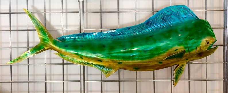 Dolphin Fish Mahi Mahi | Etsy