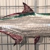Tarpon - Etsy