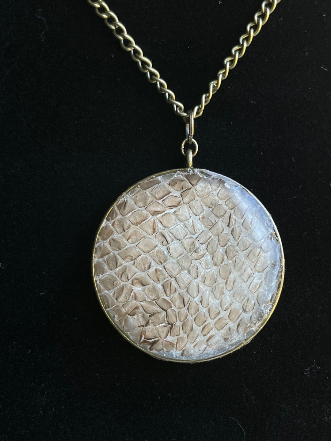 Snake Shed Pendant Necklace - Etsy