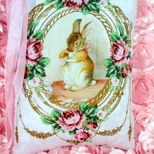 PETER RABBIT Pillow Bunny Pillow Pink Roses Pillow Rabbit Pillow SHABBY ...
