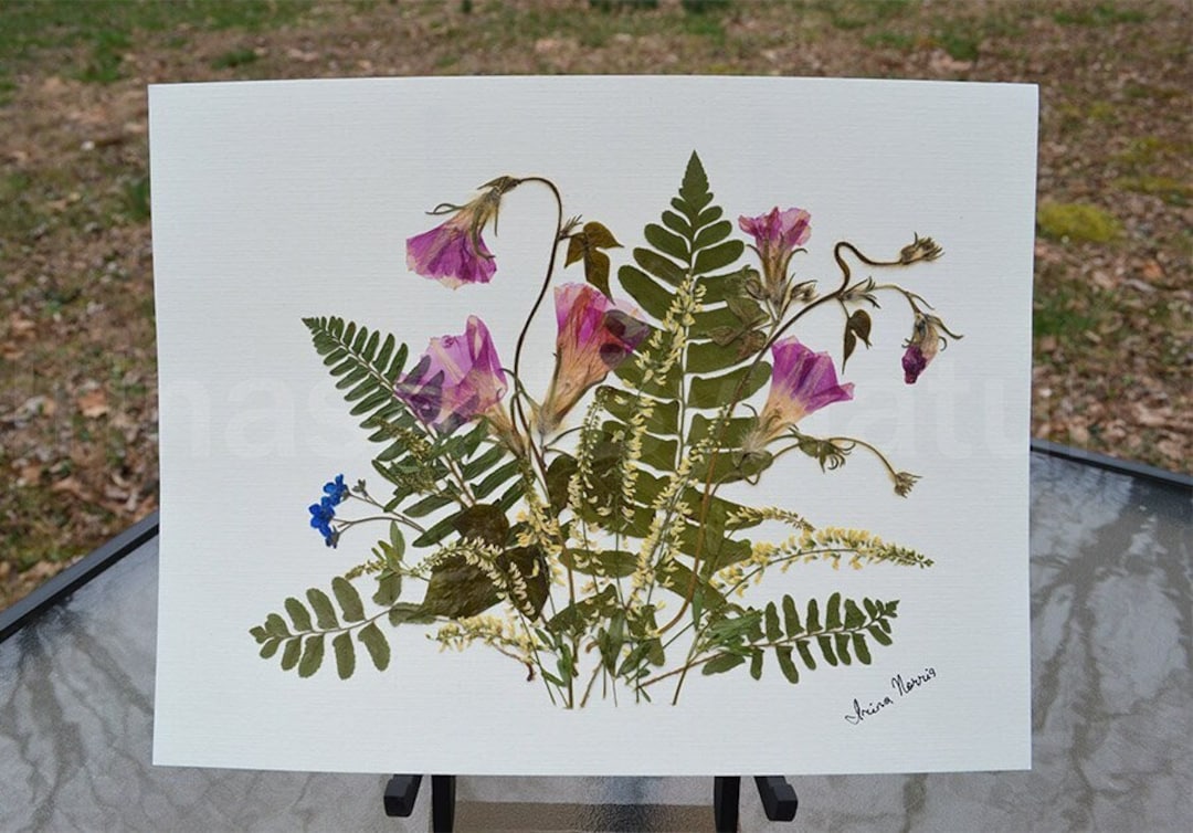 Pressed Flower Art, Pressed Botanical Art, Wild Flowers Original Art 8 ...