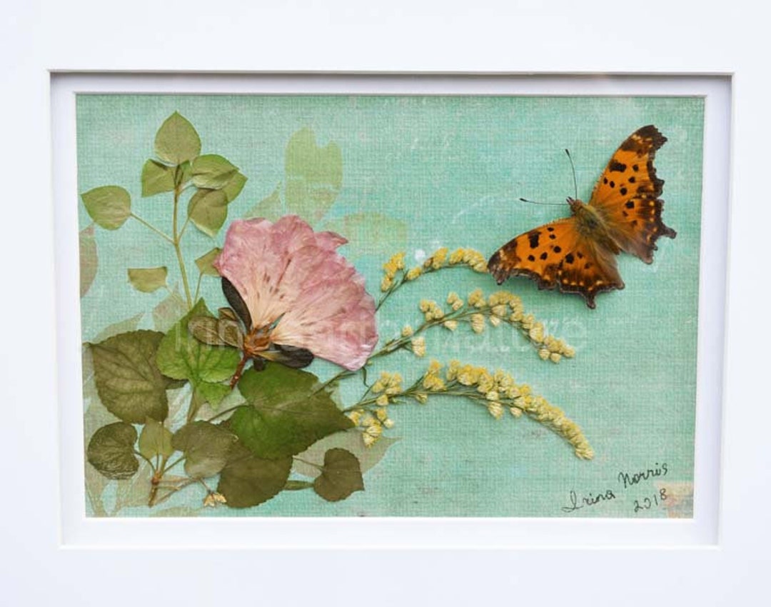 Pressed Flower Art With Real Butterfly Oshibana Framed Botanical Art ...