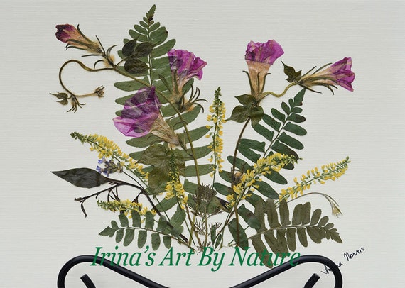 Pressed Flower Art Pressed Botanical Art Wild Flowers | Etsy