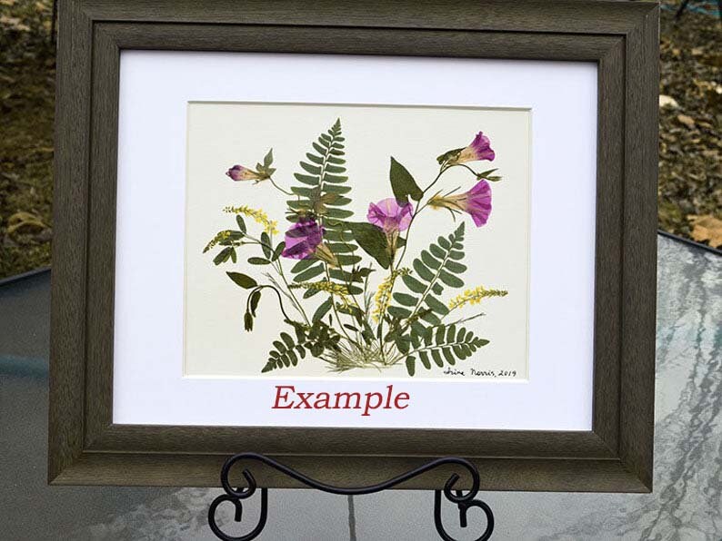 Pressed Flower Art Pressed Botanical Art Wild Flowers - Etsy