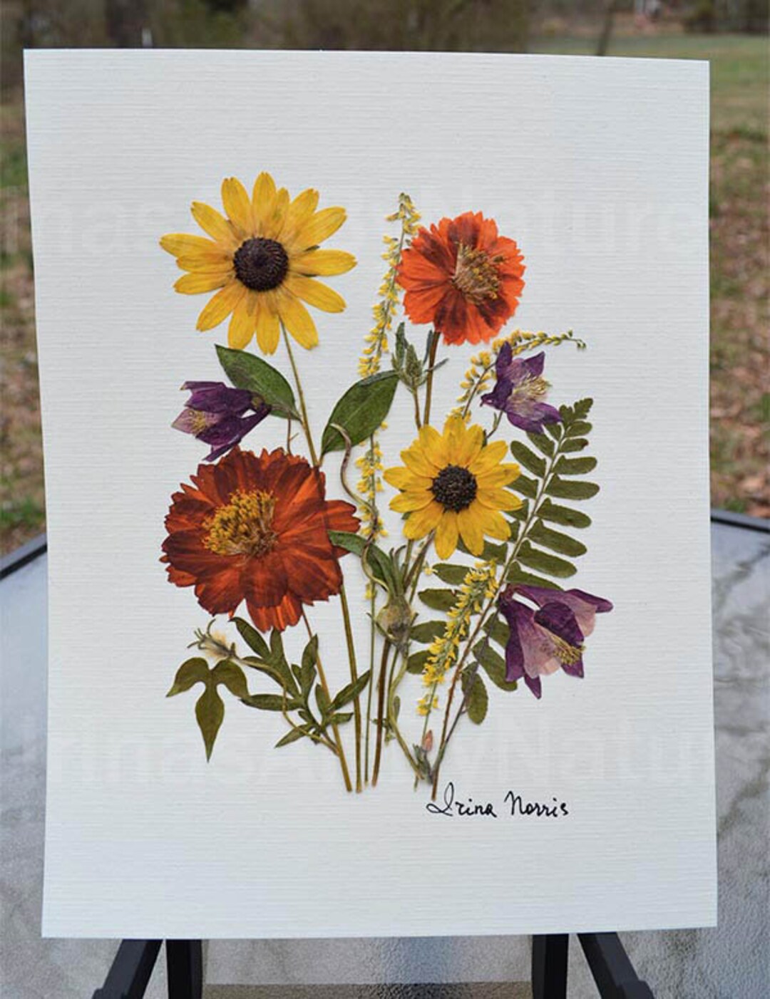 Original Pressed Flower Botanical Art, Wild Flowers Unframed - Etsy