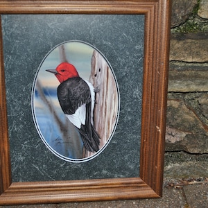 Vintage Steve Leonardi Framed Signed Print Wildlife Bird Nature Wall ...