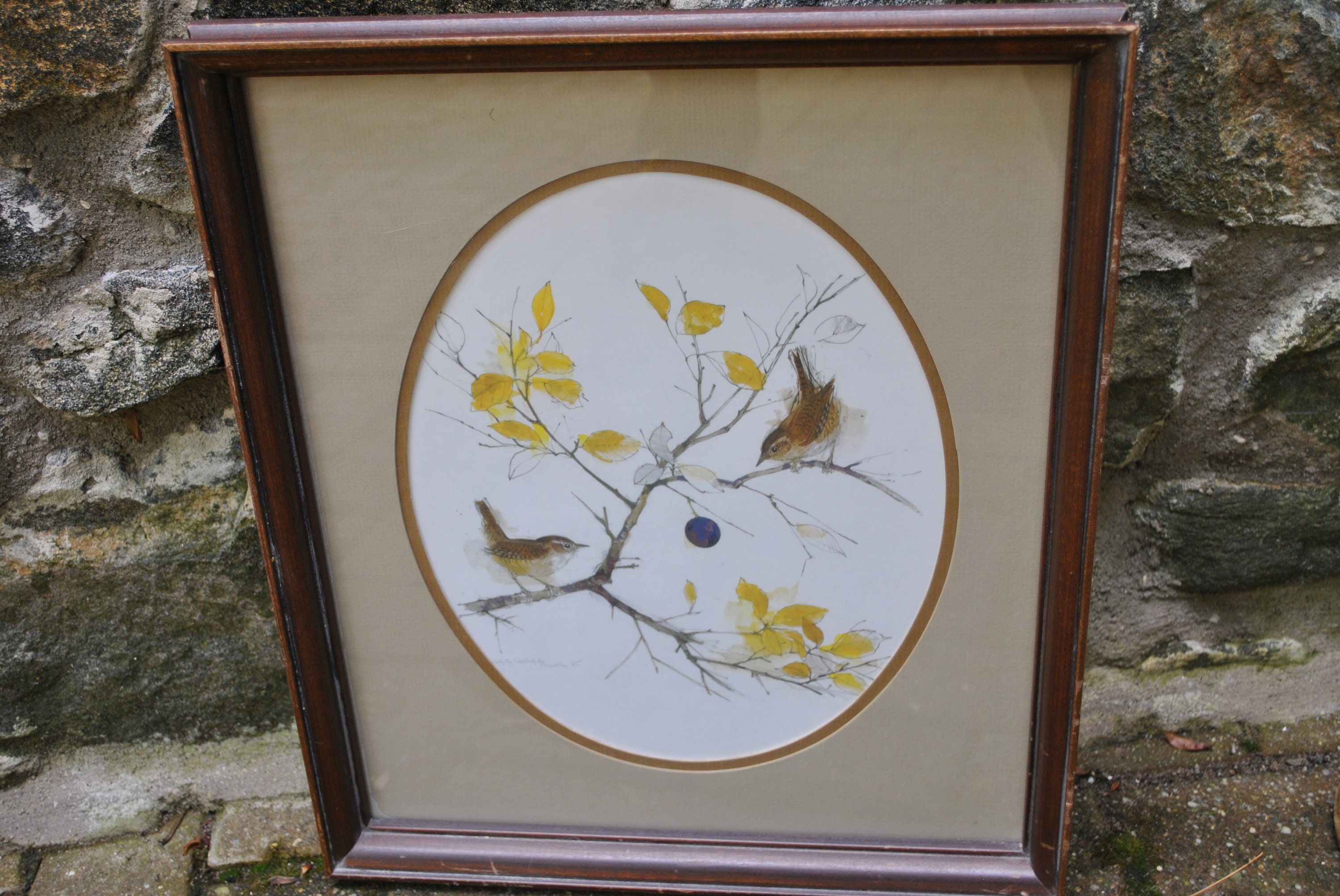 Home Decor Incredible 1975 Framed Bird Wall Art Aviary Drawing Signed ...