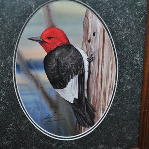 Vintage Steve Leonardi Framed Signed Print Wildlife Bird Nature Wall ...