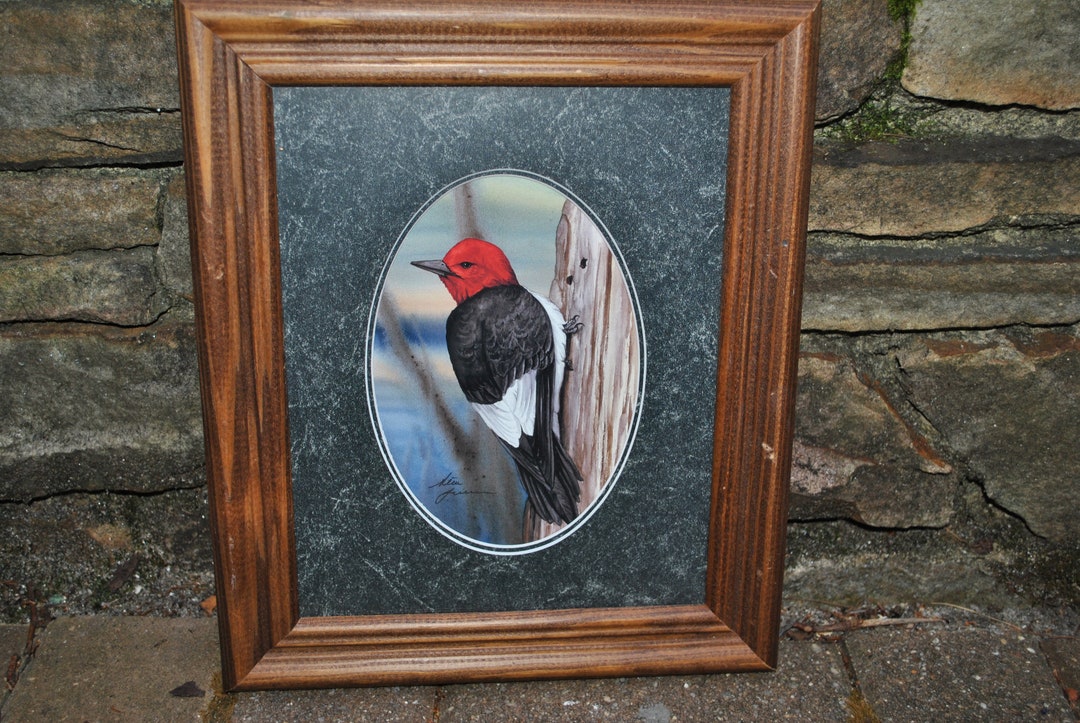 Vintage Steve Leonardi Framed Signed Print Wildlife Bird Nature Wall ...