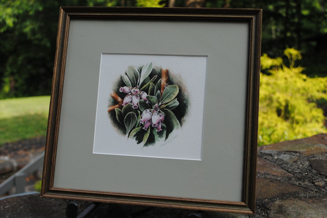 Beautiful Vintage Floral Drawing Framed Woodland Flora Meredith Davis ...
