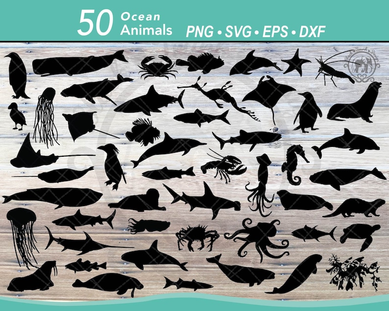 100 Sea Animals SVG Bundle Ocean Fish Silhouettes Summer Beach Ocean ...