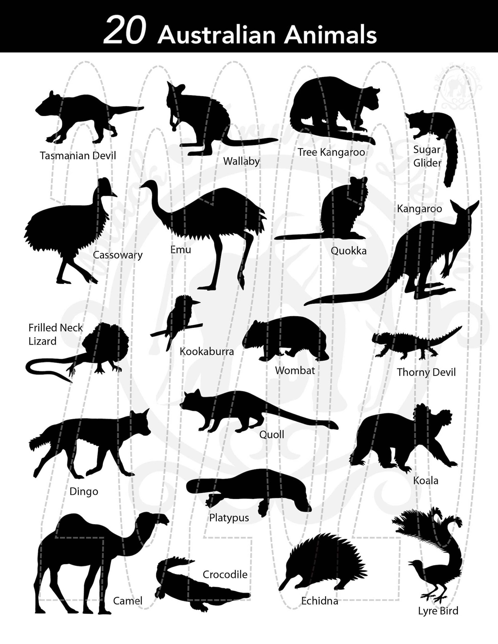 60 Australian Animal SVG Bundle Silhouette Australian - Etsy