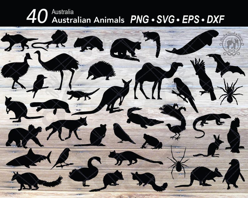 40 Australian Animal SVG Bundle Silhouette|platypus|kangaroo|tasmanian ...