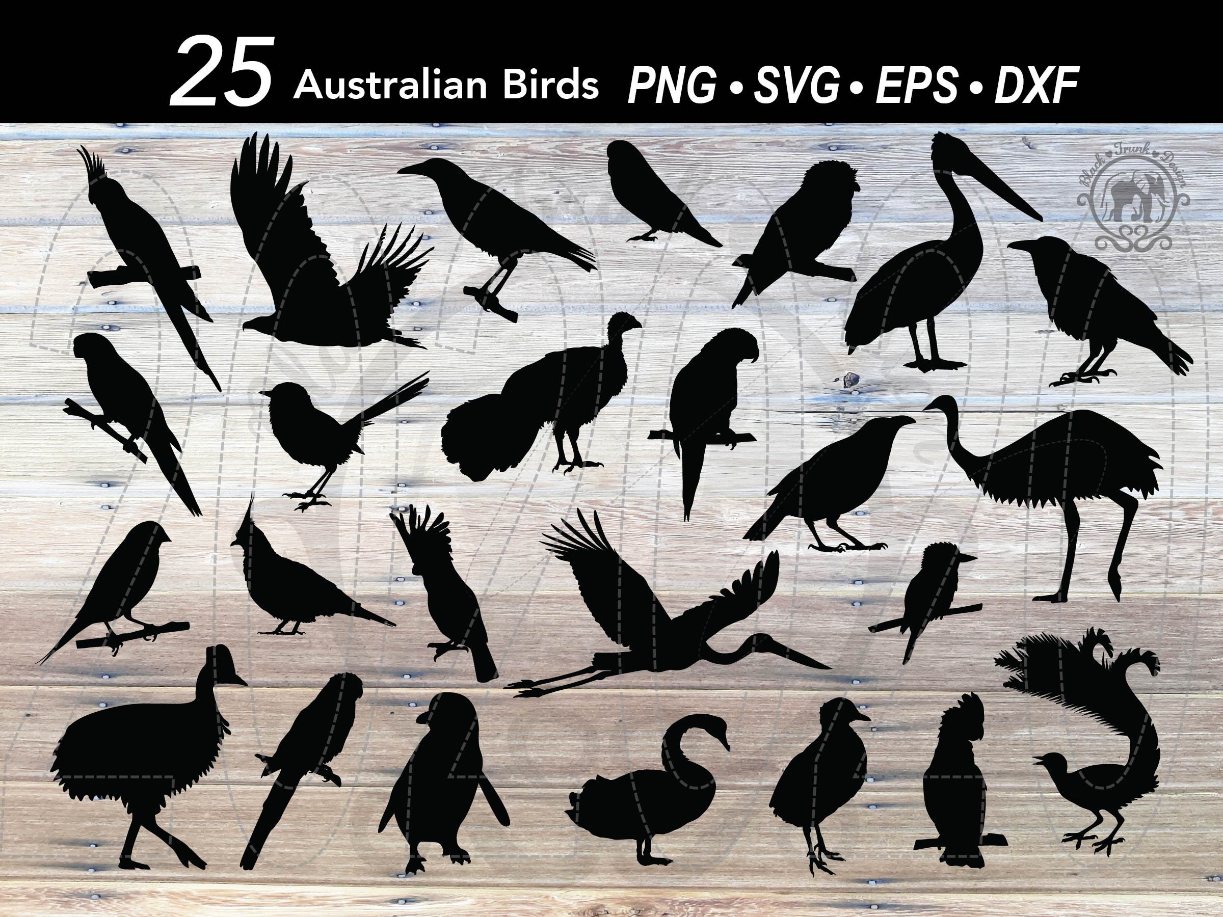 25 Australian Birds SVG Bundle Bird Silhouettes Emu Cassowary Cockatiel ...