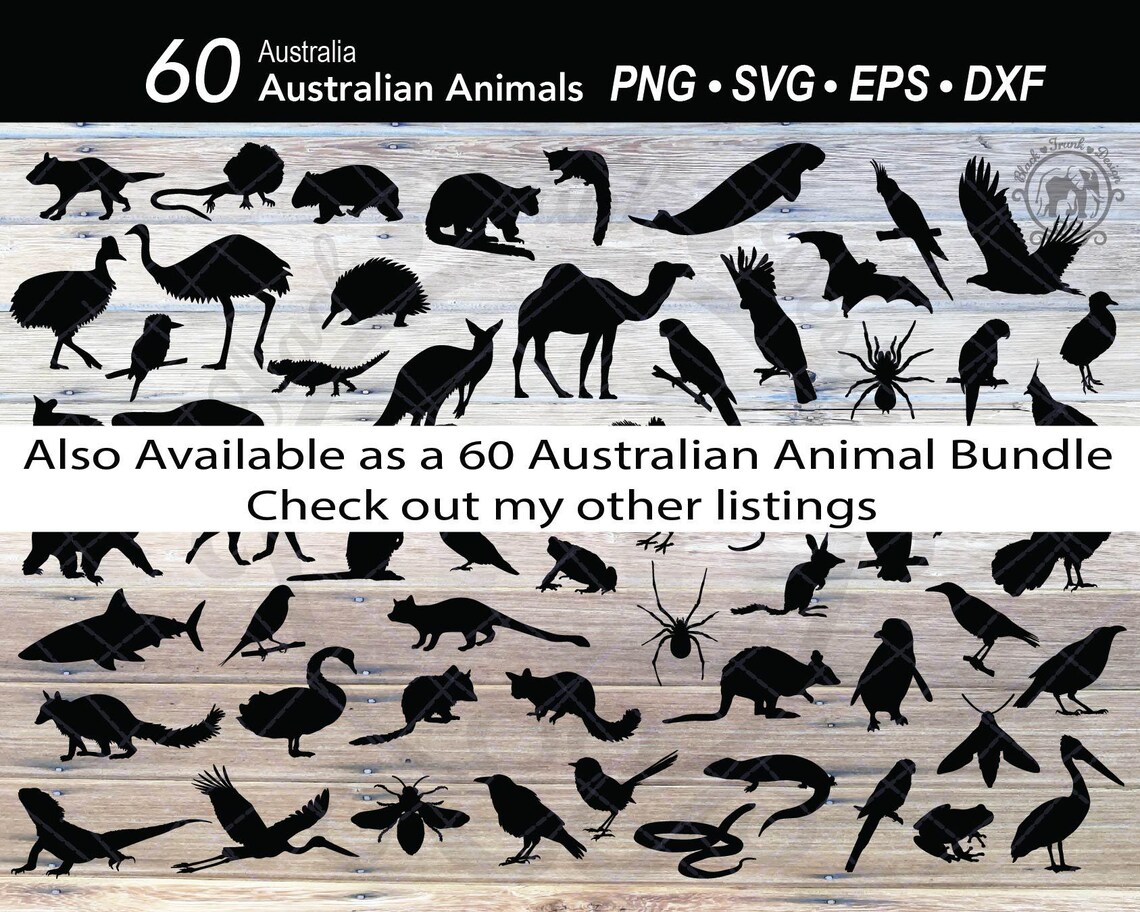 Australian Animal SVG Bundle Silhouette | Cockatiel | Pelican | Raven ...