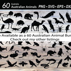 Australian Animal SVG Bundle Silhouette | Cockatiel | Pelican | Raven ...