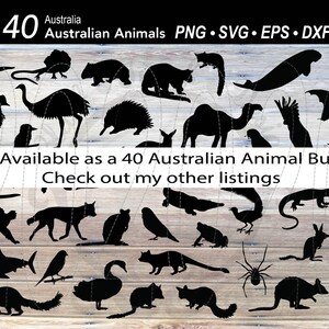 Australian Animal SVG Bundle Silhouettes platypus Kangaroo Tasmanian ...