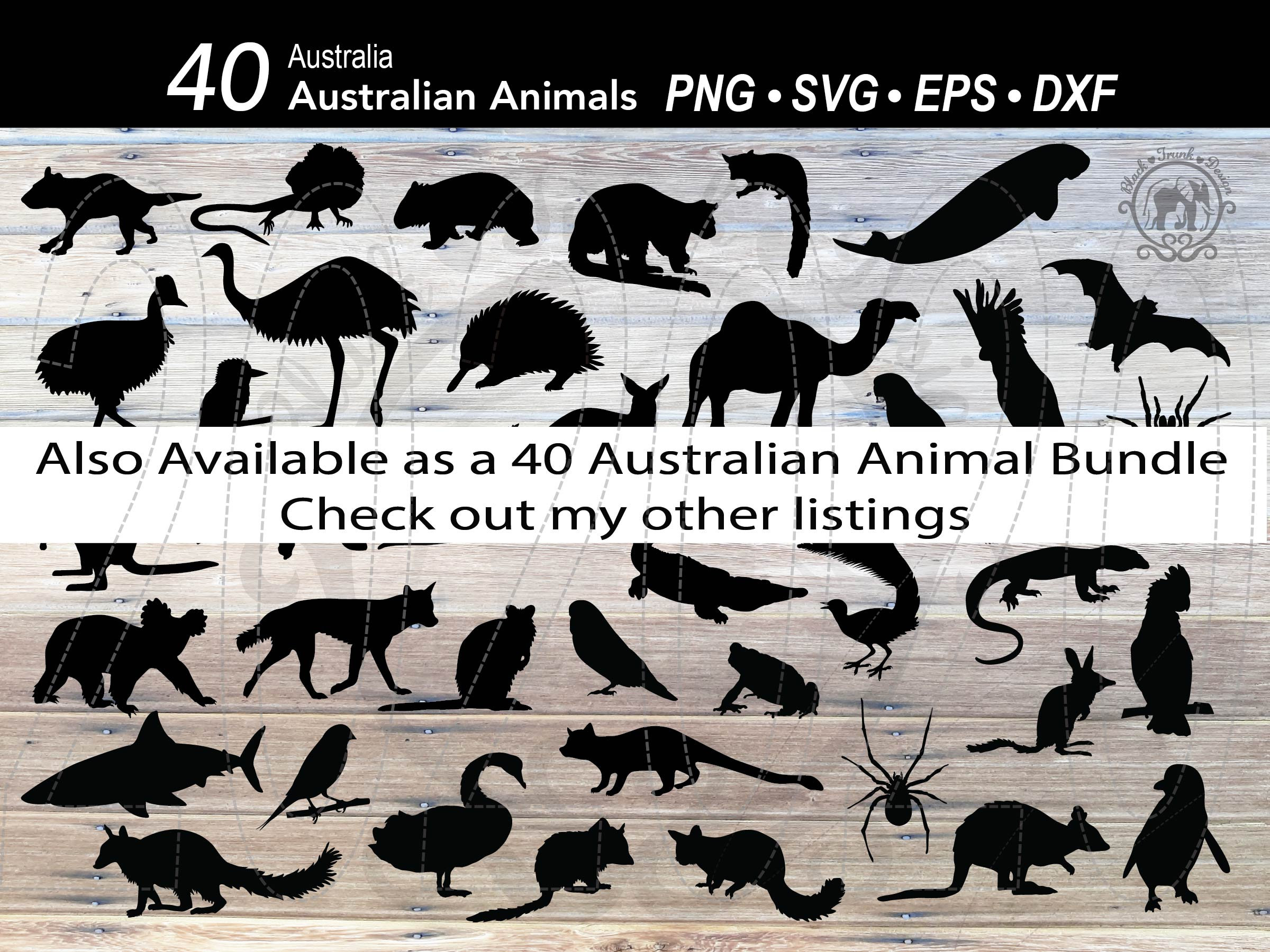 Australian Animal SVG Bundle Silhouettes platypus Kangaroo Tasmanian ...
