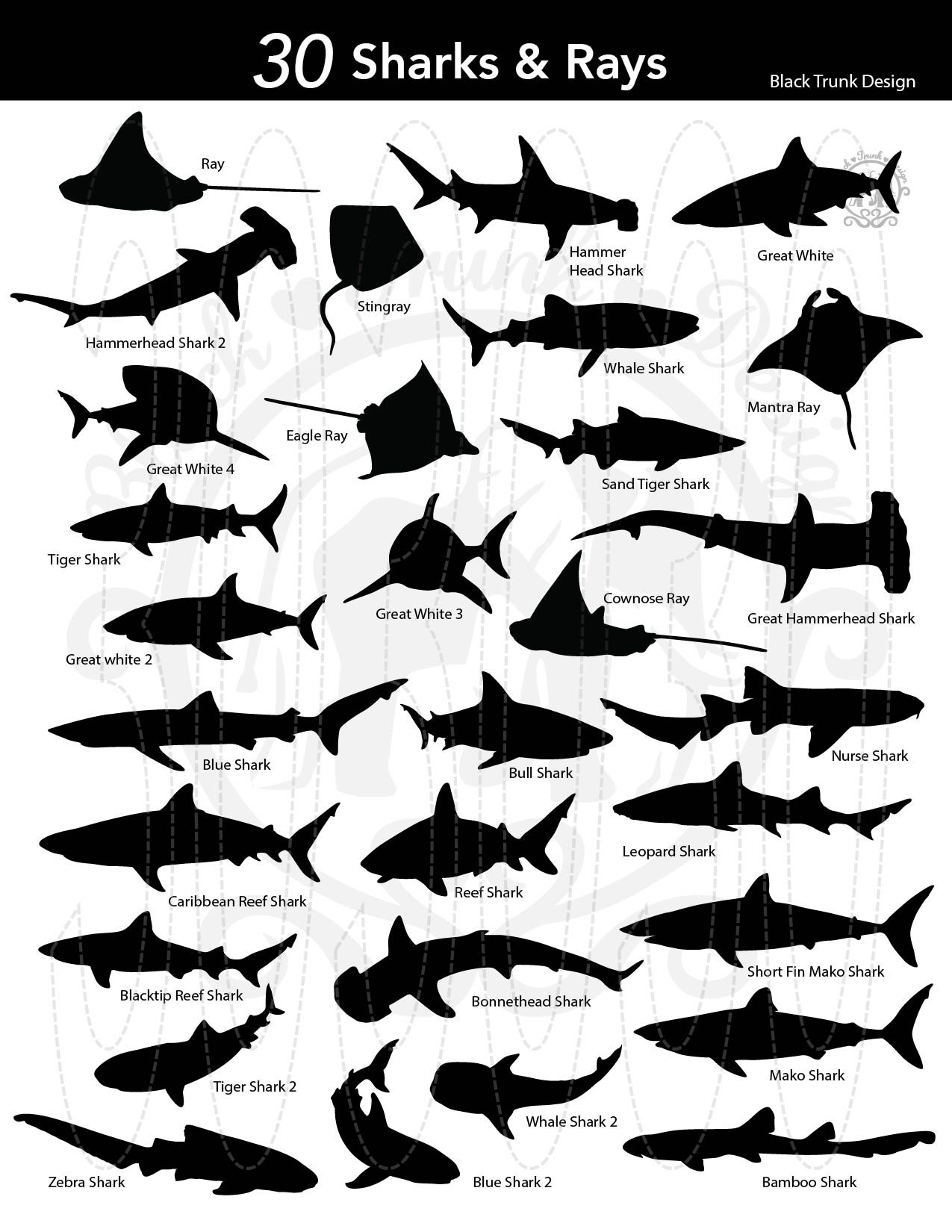 30 Shark & Ray SVG Bundle |hammerhead Shark Vector Silhouette, Great ...