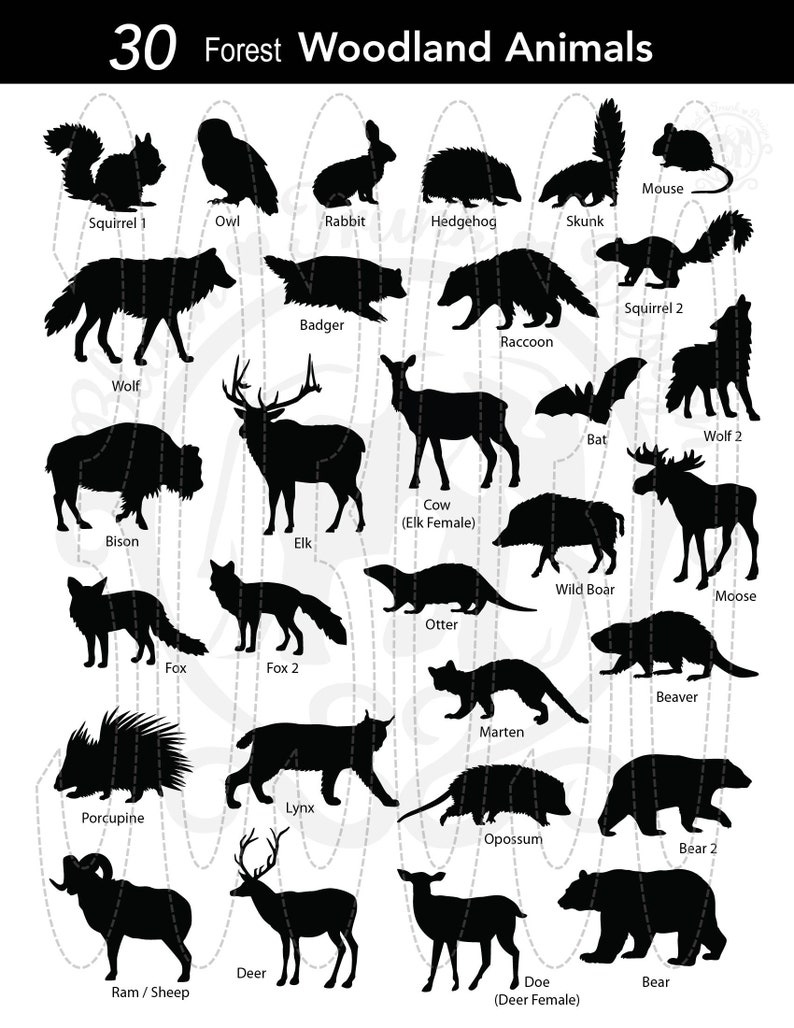 40 Woodland Forest Animal SVG Bundle Forest Animal Scene - Etsy