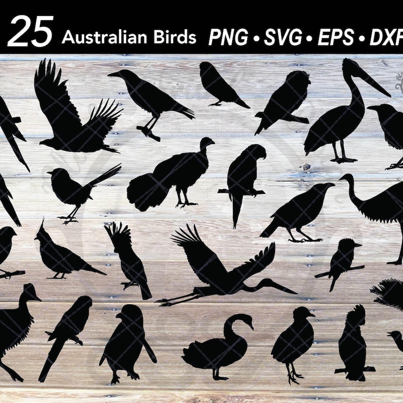 Bowerbird - Etsy Australia