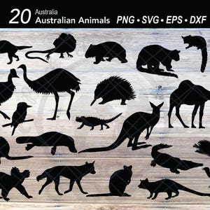 Australian Animal SVG Bundle Valentine Heart Wreath Graphic Platypus ...