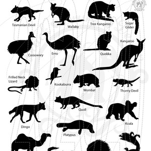 40 Australian Animal SVG Bundle Silhouetteplatypuskangarootasmanian ...