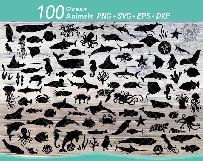 Ocean Animals Bundle, SVG PNG Files for Cutting Machines, Digital ...