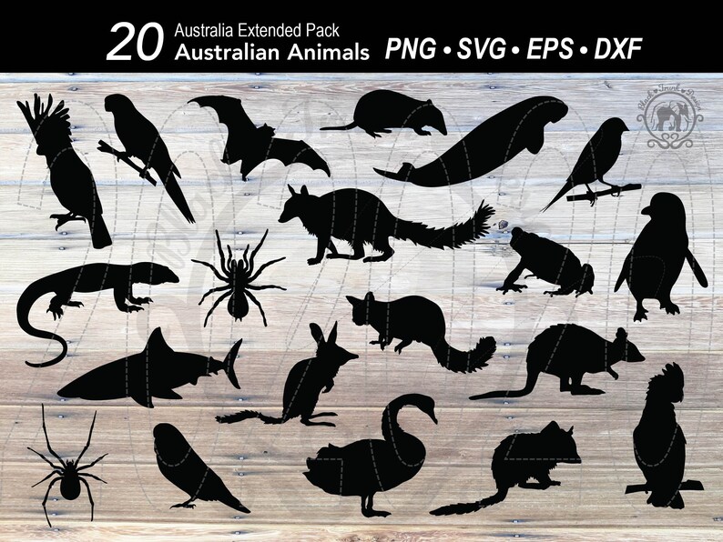 Australian Animal SVG Bundle Silhouettelittle ...