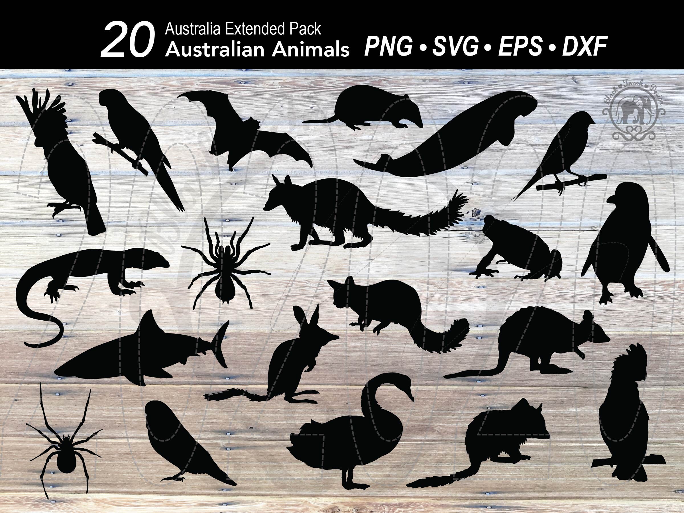 Australian Animal SVG Bundle Silhouettelittle ...