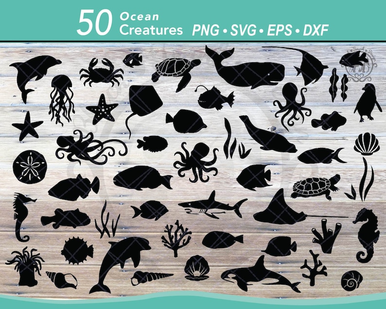 50 Ocean Animals SVG Bundle Fish Silhouettes Underwater Animal Clipart ...