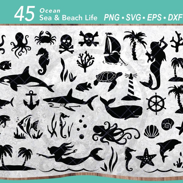 Ocean Animals Svg - Etsy