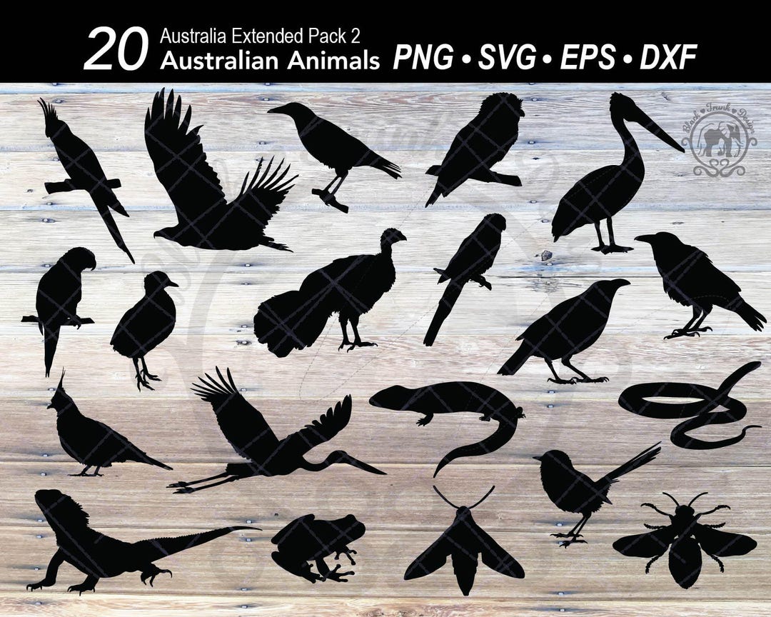 Australian Animal SVG Bundle Silhouette | Cockatiel | Pelican | Raven ...