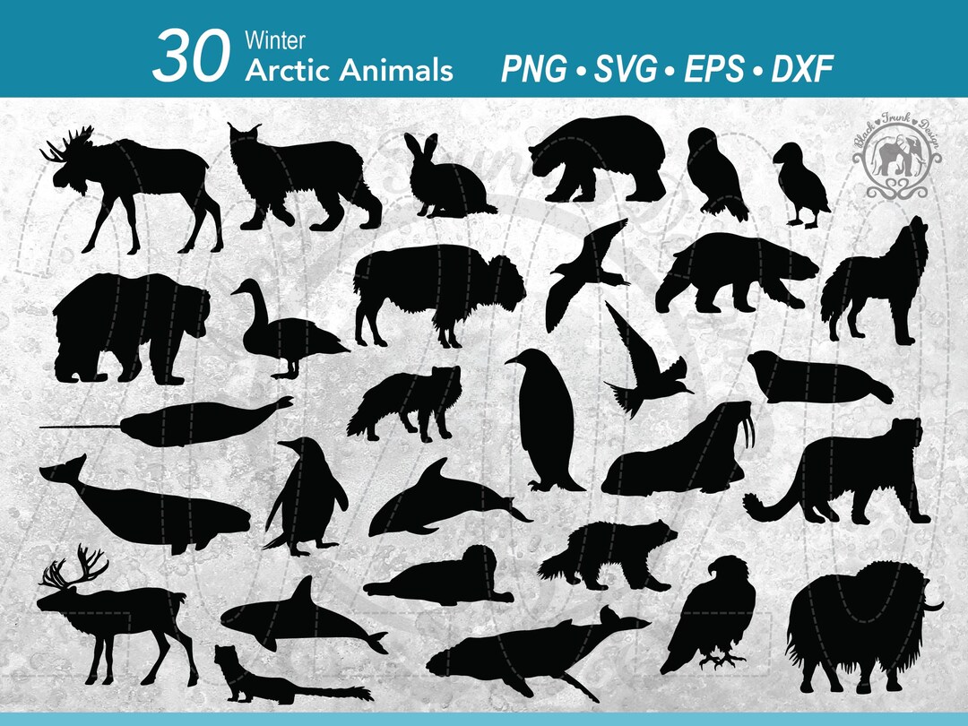 30 Arctic Winter Animal SVG Bundle Silhouette White Snow - Etsy