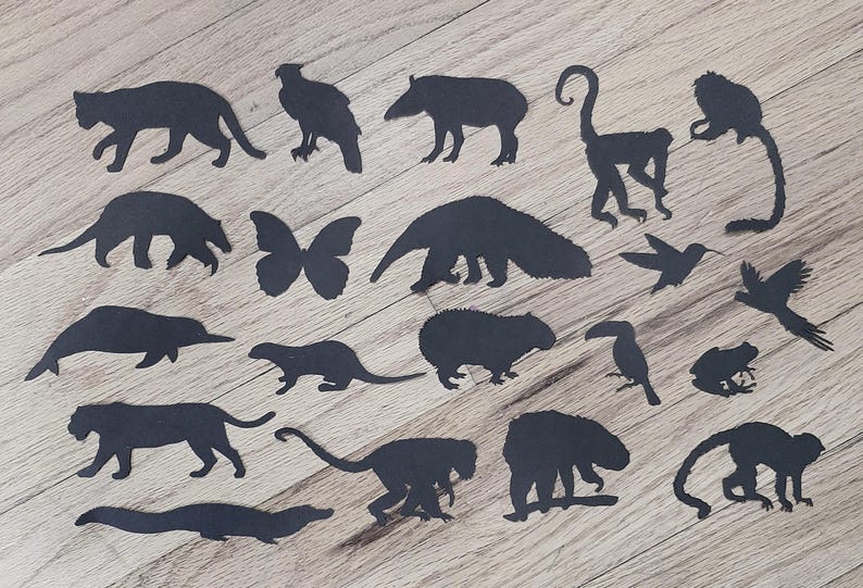 20 South American Rainforest Animal SVG Bundle | Jungle Wild Animal ...