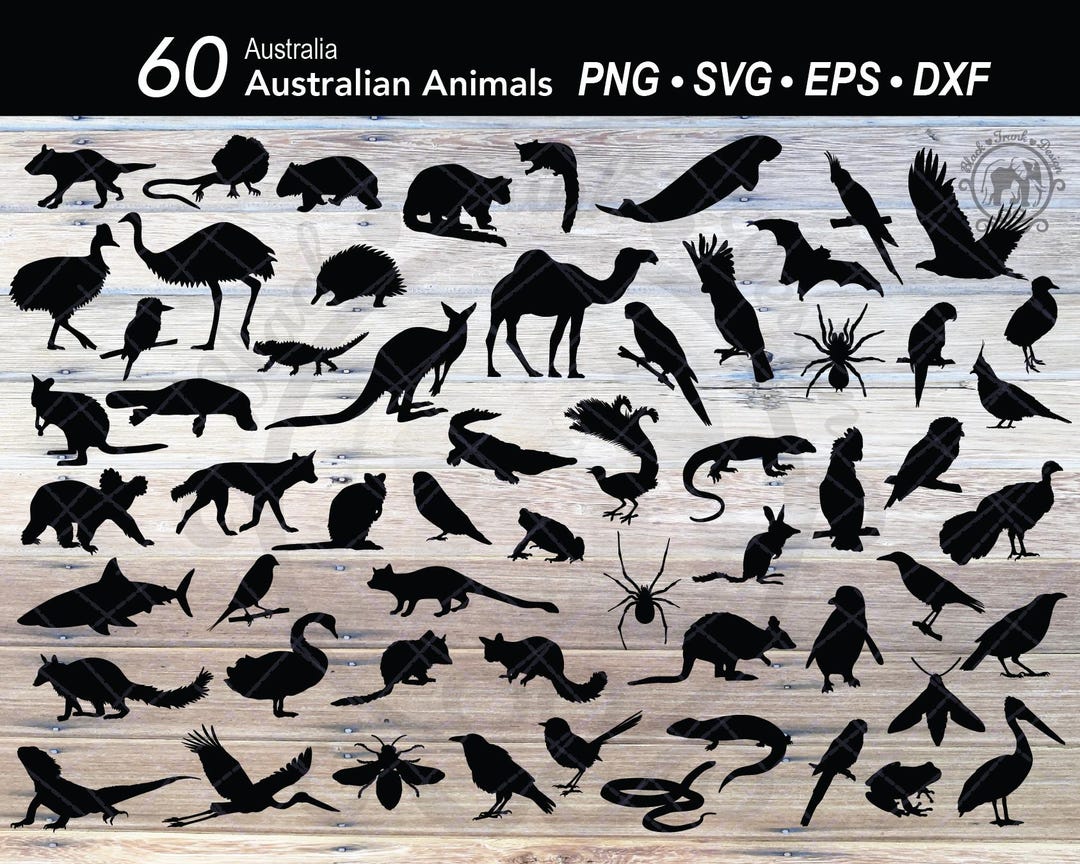 60 Australian Animal SVG Bundle Silhouette | Australian Outback ...