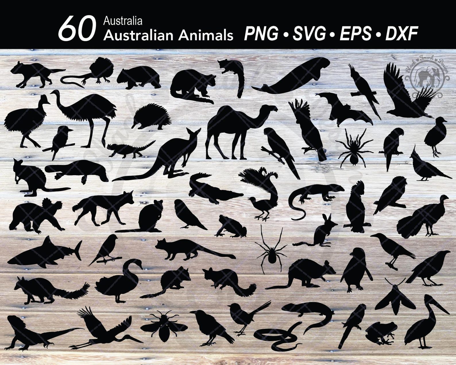 60 Australian Animal SVG Bundle Silhouette | Australian Outback ...