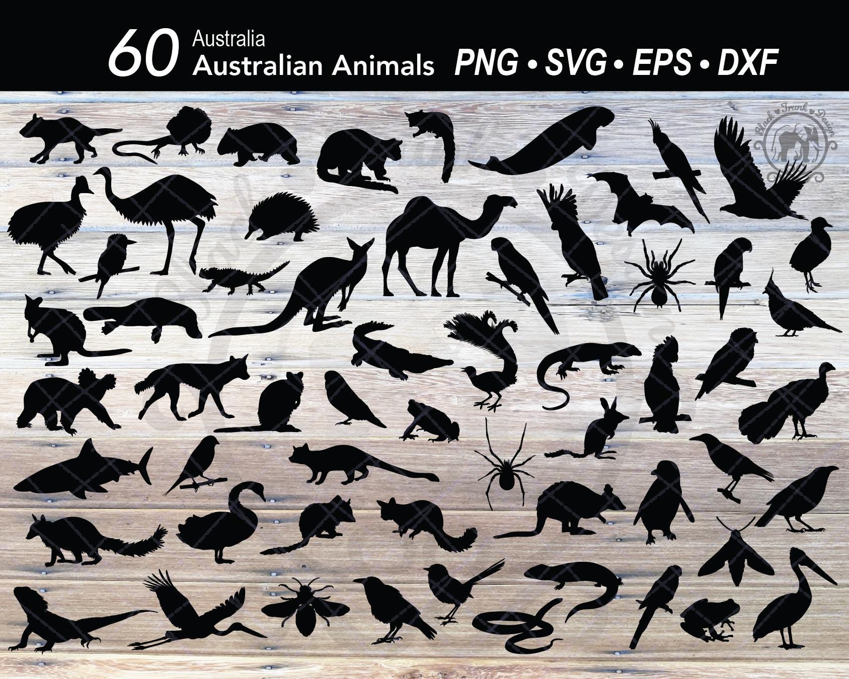 60 Australian Animal SVG Bundle Silhouette | Australian Outback ...