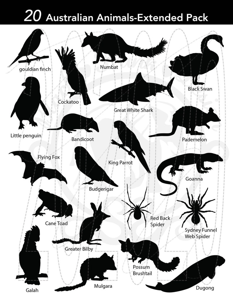Australian Animal SVG Bundle Silhouettelittle - Etsy