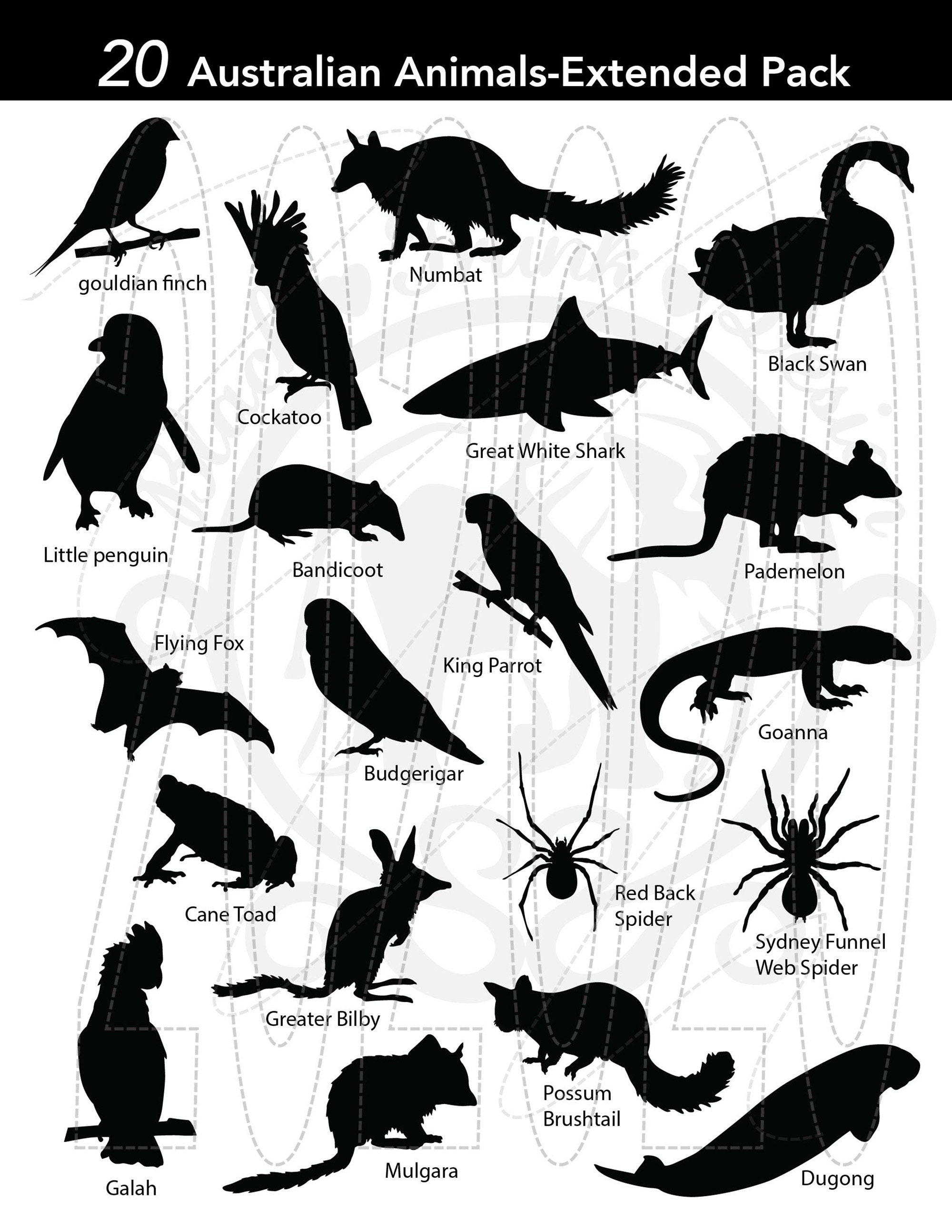 Australian Animal SVG Bundle Silhouettelittle - Etsy Australia