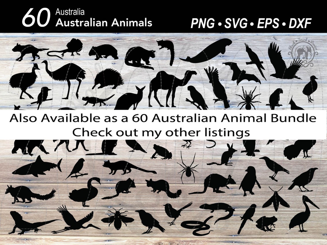 Australian Animal SVG Bundle Silhouette Cockatiel Pelican - Etsy