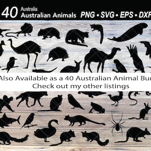 Australian Animal SVG Bundle Silhouettes |platypus | Kangaroo ...