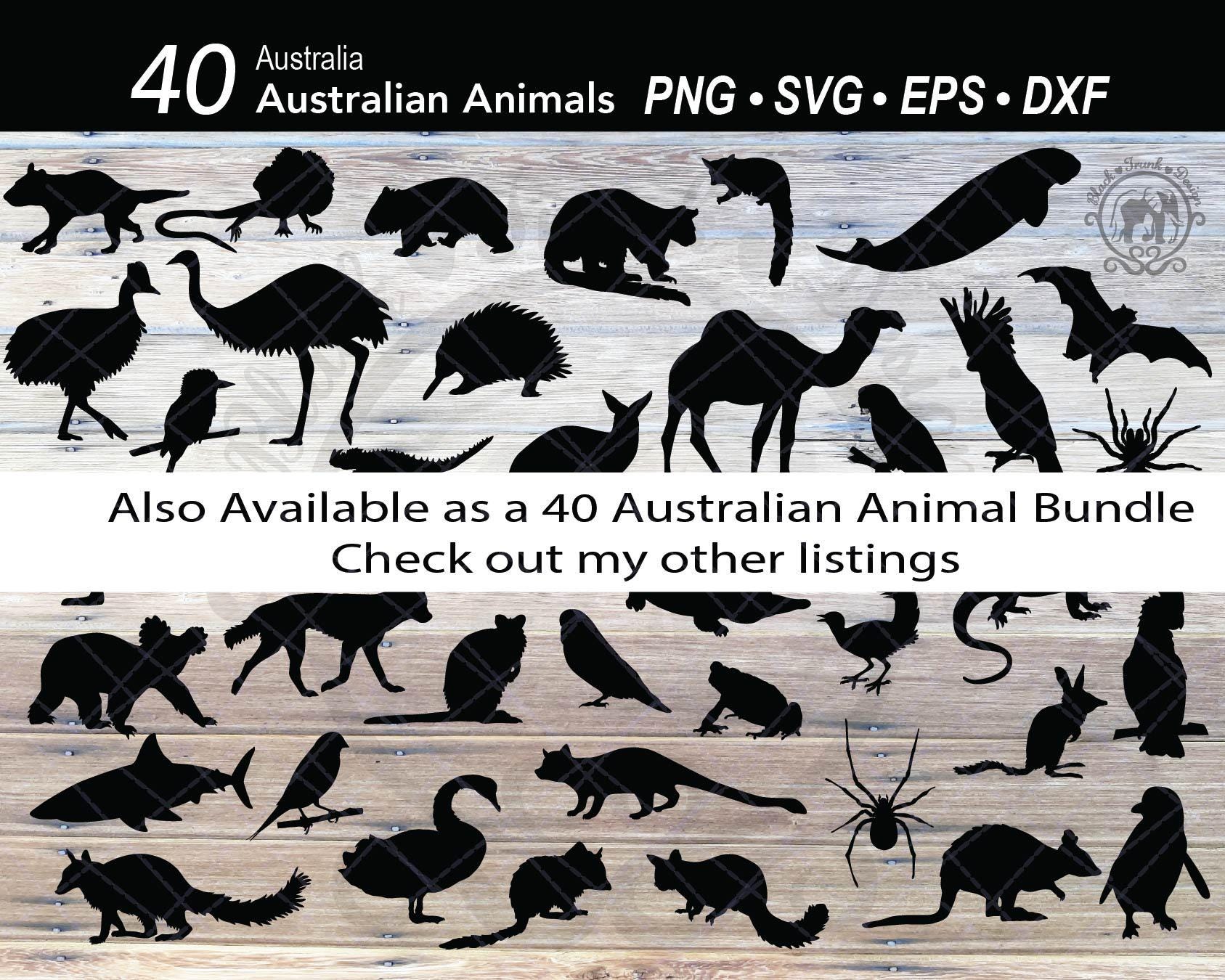 Australian Animal SVG Bundle Silhouettes |platypus | Kangaroo ...