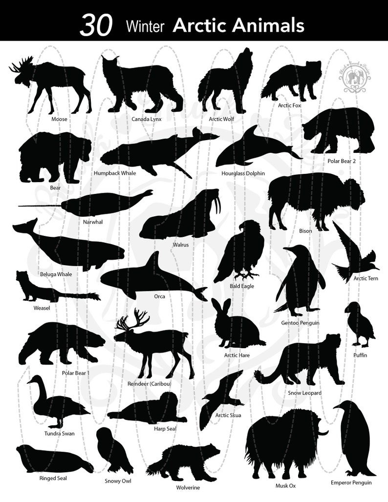 30 Arctic Winter Animal SVG Bundle Silhouette | White Snow Animals ...