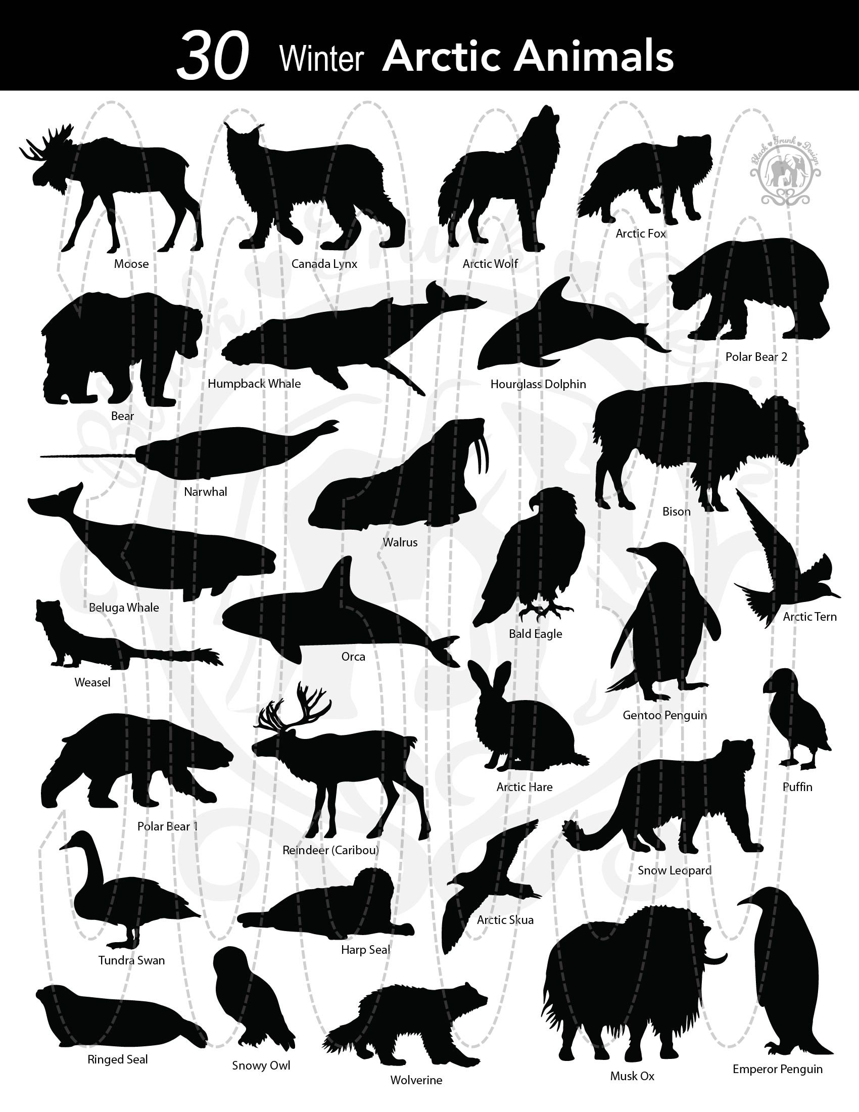 30 Arctic Winter Animal SVG Bundle Silhouette | White Snow Animals ...