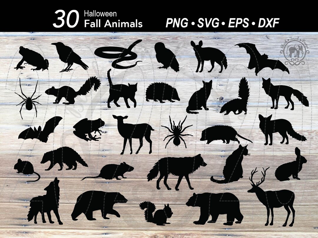 30 Forest Woodland Fall Animal SVG Bundle | Autumn Halloween Animal ...