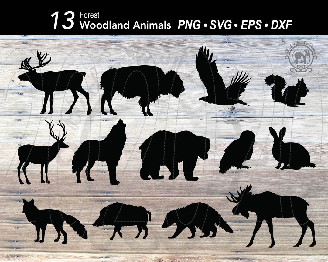 13 Woodland Animal SVG Bundle | Animal Forest Silhouette | Bear | Wolf ...