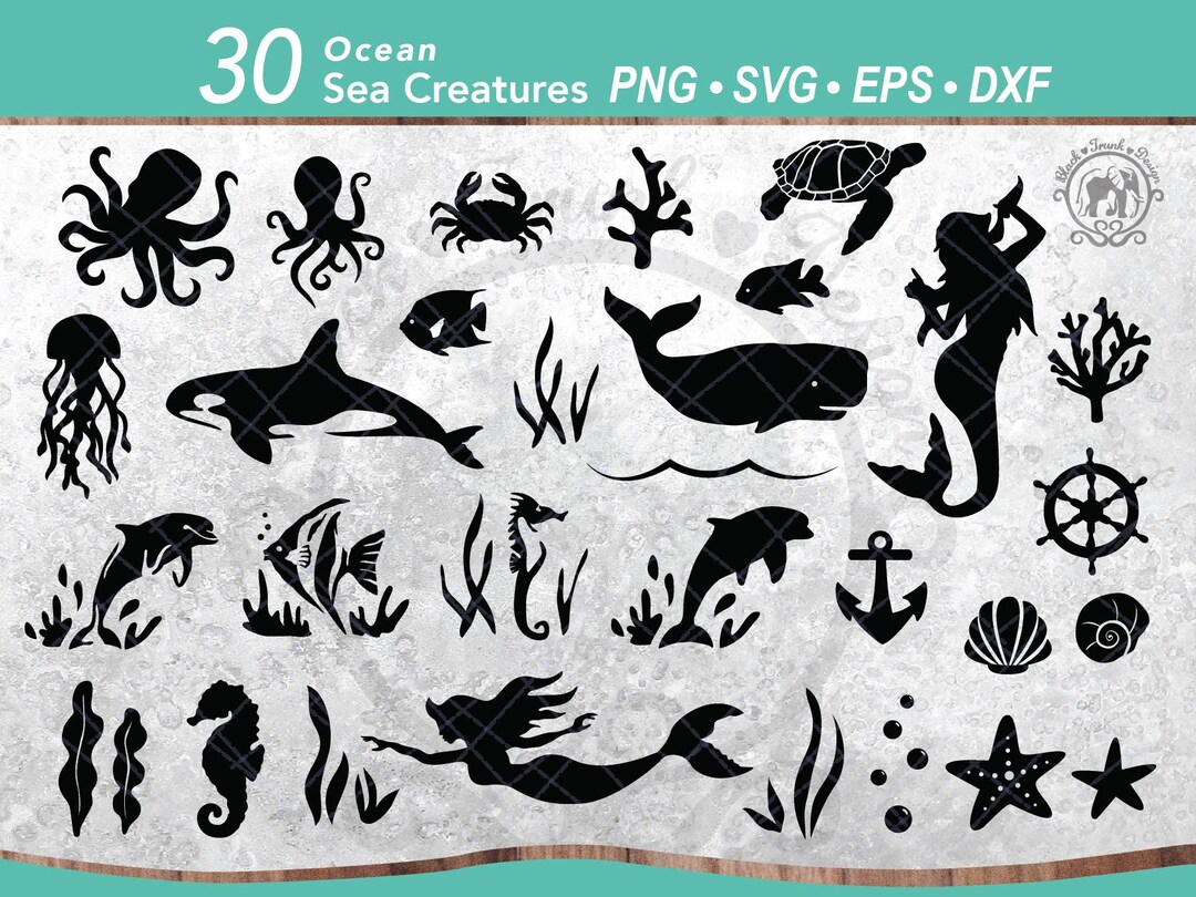 30 Ocean Animals SVG Bundle Sea Creatures Sea Life Beach Mermaid ...