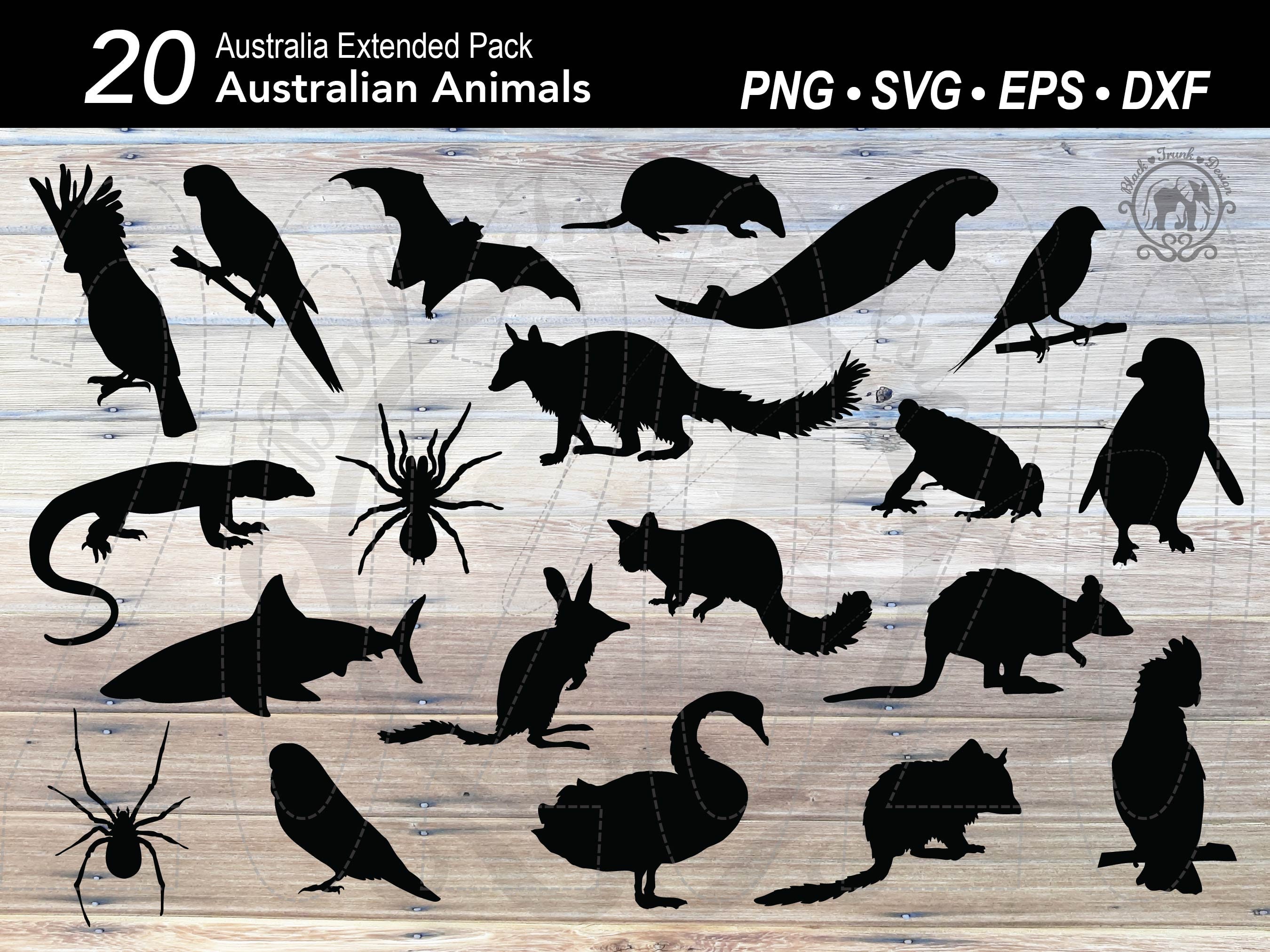 40 Australian Animal SVG Bundle - Etsy Australia