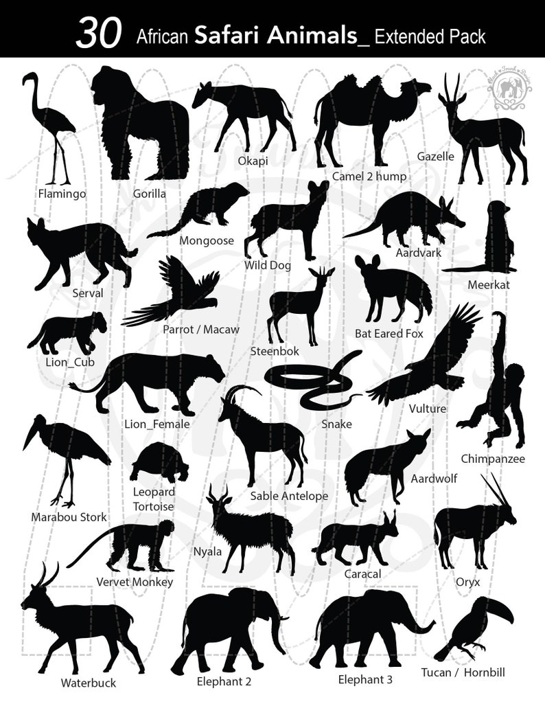 60 Safari Africa Silhouette Animal SVG Bundle Africa Scene Safari ...